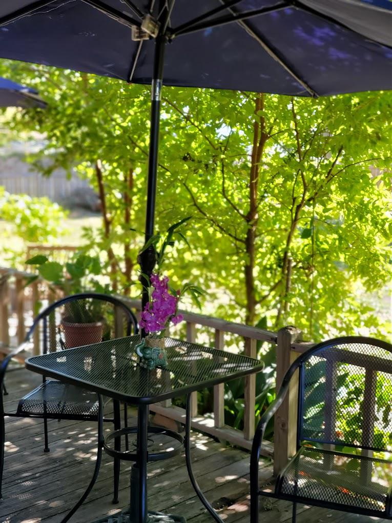 Purple Orchid Cafe Latest Menu - December 2024